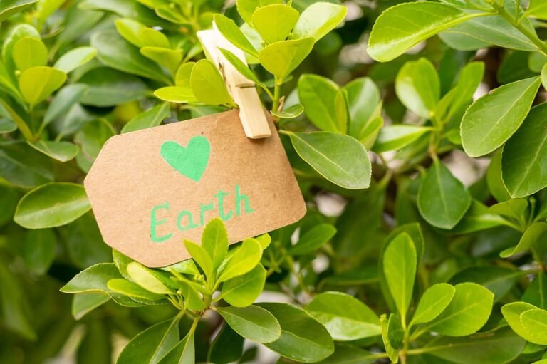 Eco-Friendly Labels | Sustainable & Custom Label Printing